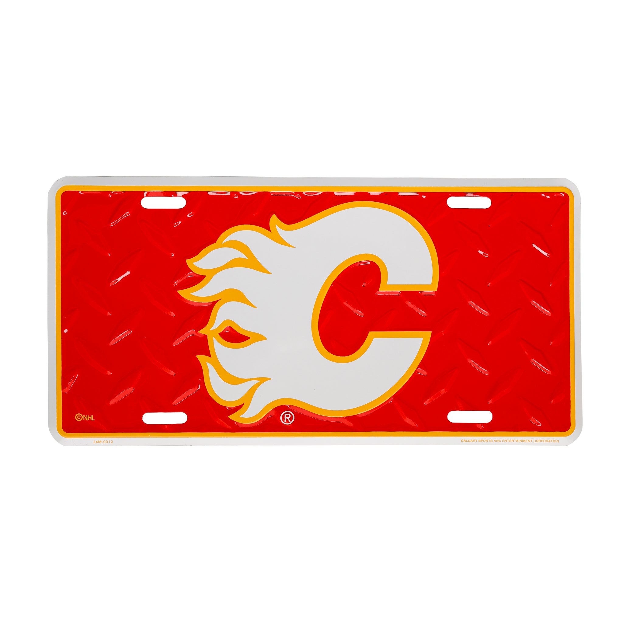 Flames Embossed License Plate – CGY Team Store