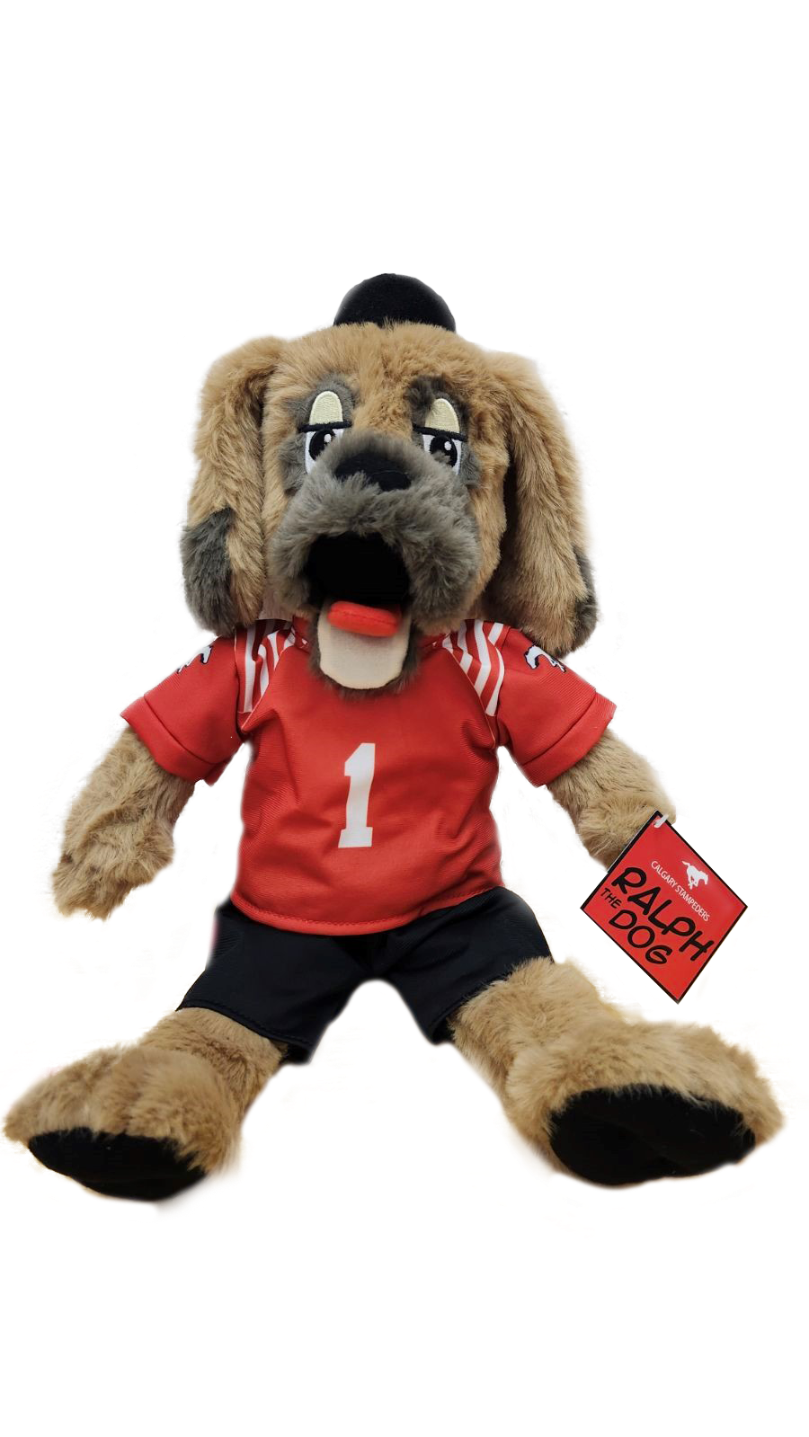 ALL NOVELTIES – CGY Team Store