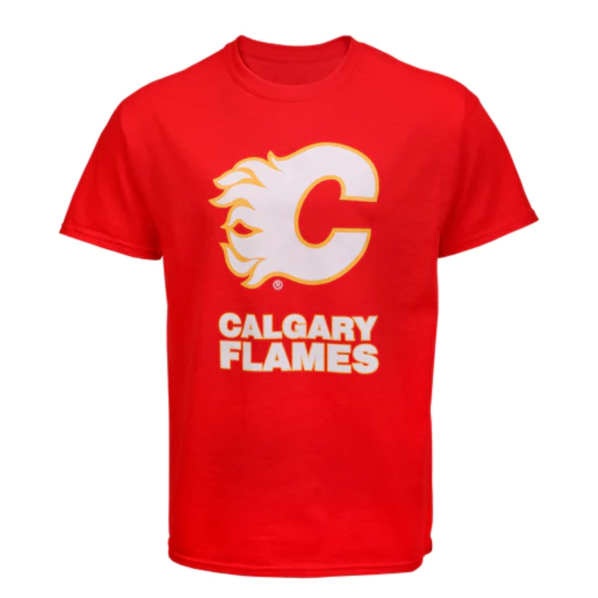 Flames Retro Basic Logo T-Shirt – CGY Team Store